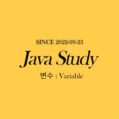 [java] 변수 variable