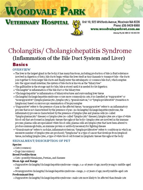 Cholangitis Cholangiohepatitis Syndrome Pdf Bile Liver