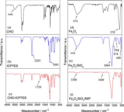 Atr Ftir Spectra Of Cholesterol A Icptes B Cho Icptes C Fe 3 O Download Scientific