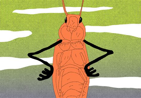 Как поймать баг в коде отладка в браузере — Журнал Код программирование без снобизма