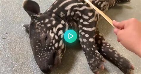 Hes Thriving Growing Exploring The Pool And Getting Extra Love And