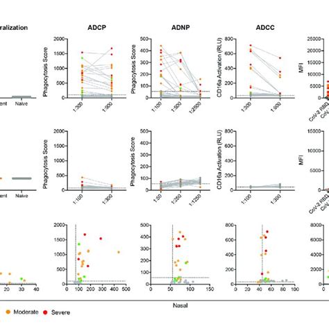 Structure Components And Properties Of Mf59 ® Download Scientific