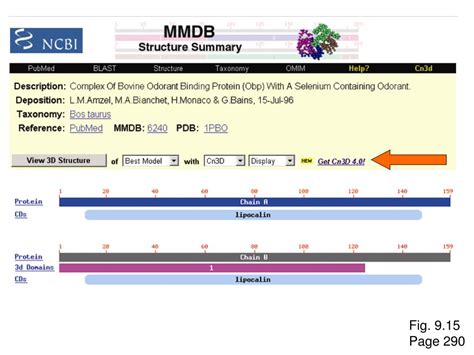 Ppt The Protein Data Bank Pdb Powerpoint Presentation Free Download Id3353186