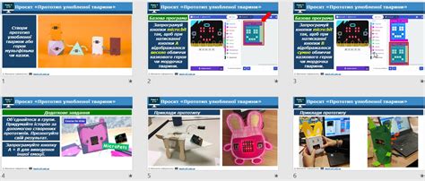 Урок 12 Проєкт «Прототип улюбленої тварини 5 клас Робототехніка 5 клас НУШ Каталог файлів