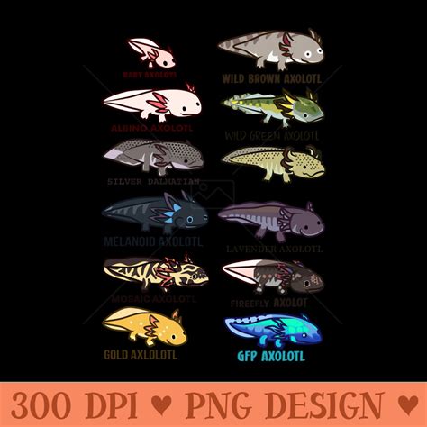 Types Of Axolotls PNG Downloadable Art High Quality Inspire