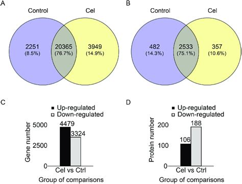 Transcriptomic And Proteomic Differences Between FLS Treated Or Not Download Scientific Diagram