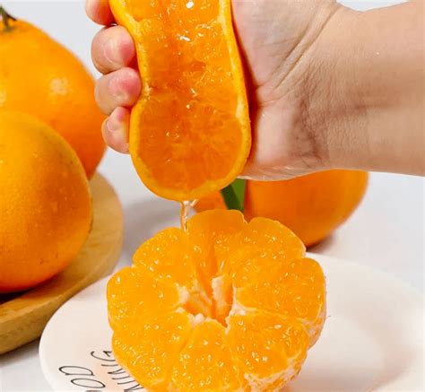 甜过初恋的春见“耙耙柑”，清甜美味，一见倾心！ 果粒