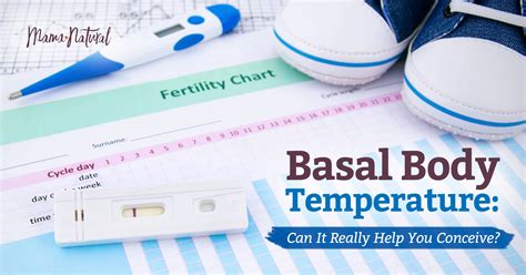 Basal Body Temperature Can It Really Help You Conceive