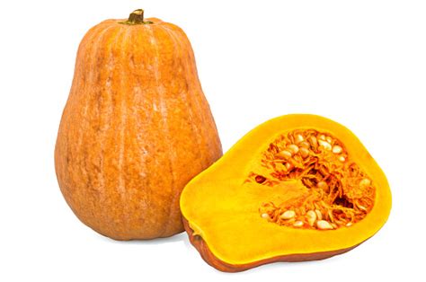 흰색 배경에 격리 된 사실적인 텍스처가있는 스쿼시와 단면 3d 렌더링 0명에 대한 스톡 사진 및 기타 이미지 0명 3차원 형태 건강한 생활방식 Istock