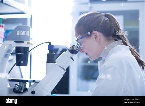 Scientist Examining Samples Under A Microscope In A Laboratory Stock