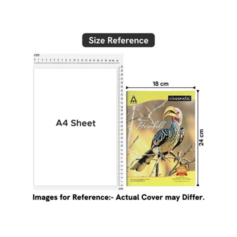 Classmate Single Line Notebook 172 Pages Design May Vary Price Buy