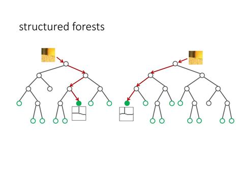 ppt structured forests for fast edge detection powerpoint