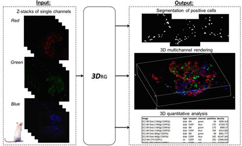Simplified Input Output Diagram Download Scientific Diagram