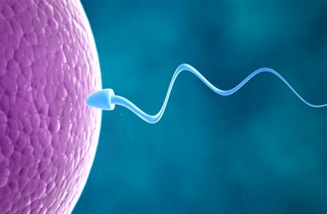 Product Sources Pandu Biosains