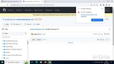 Analysis Https Github Pankoza Pl Malwaredatabase Malicious Activity Interactive