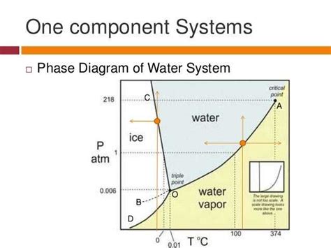 The Basics Of Understanding The Phase Diagram Of A One Component System