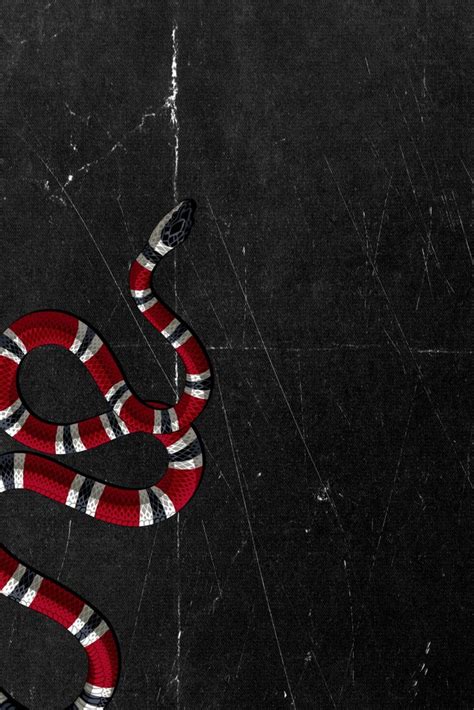 Gucci Snake