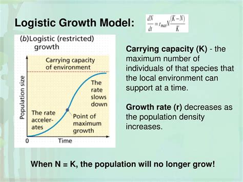 What Is Logistic Growth Model At Lauren Murphy Blog