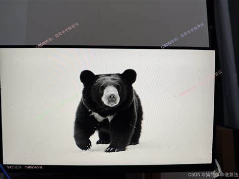 基于fpga的图像中值滤波算法verilog开发与开发板硬件测试 Csdn博客