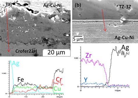 Cross Section SEM EDX Mapping Analysis On The Interface Of The Download Scientific Diagram