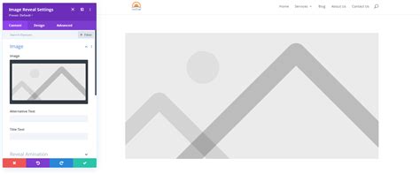 image reveal module overview diviflash docs