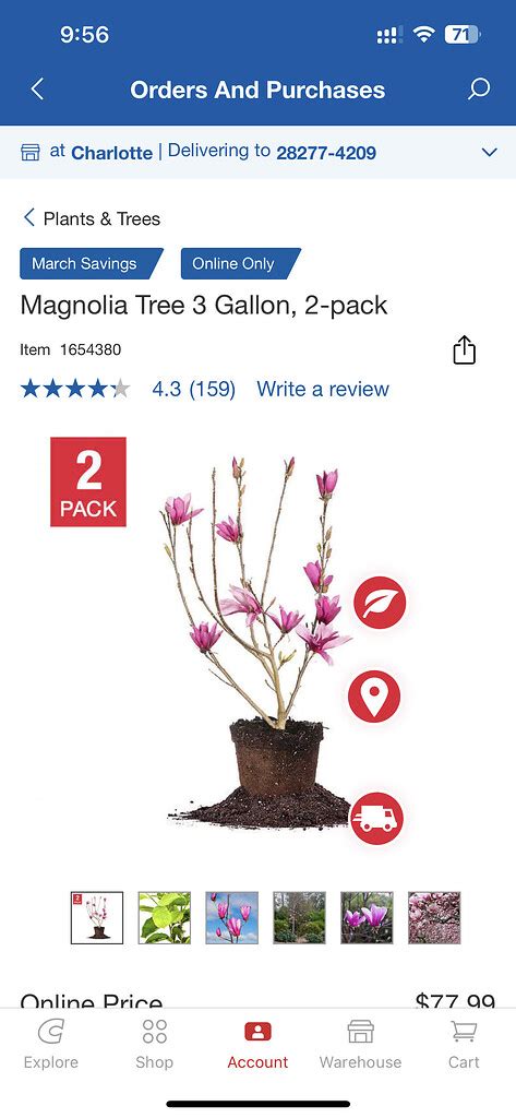 种树咨询贴 请大家帮忙 生活 美卡论坛