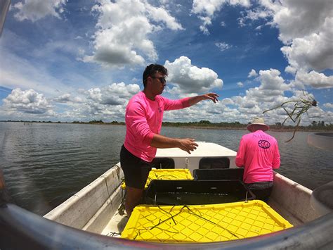 Submerged Aquatic Vegetation Aquatech Eco Consultants