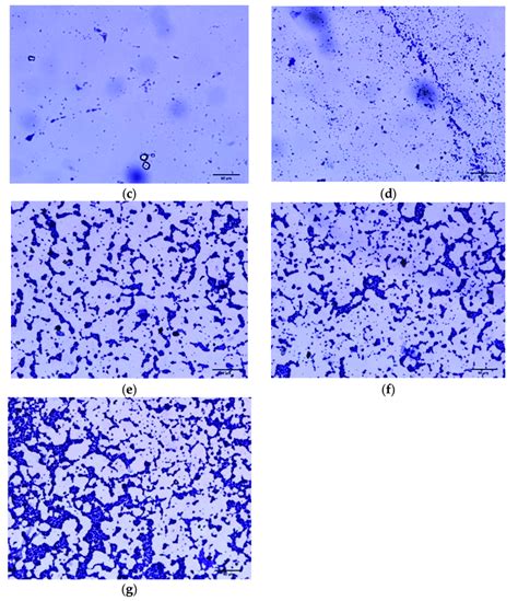 micrographs obtained via light microscopy showing the reduction in
