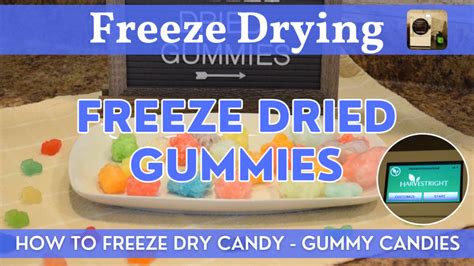 Freeze Dried Gummies Harvest Right Freeze Dried Candy How To Freeze