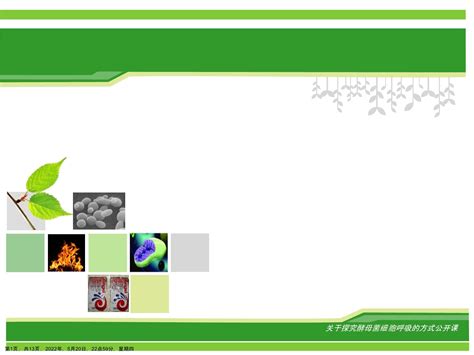 Ppt