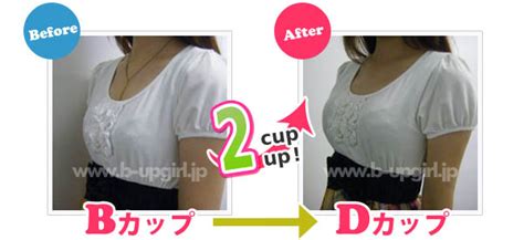 人気のバストアップ教材について｜陥没乳首を治す方法 Com