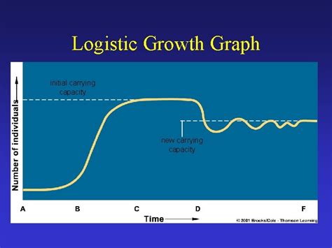 Population Ecology How Do Populations Grow Growth Birth