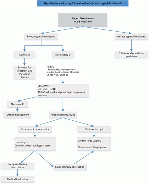 Infantile Cholestasis Approach And Diagnostic Algorithm Abdominal Key