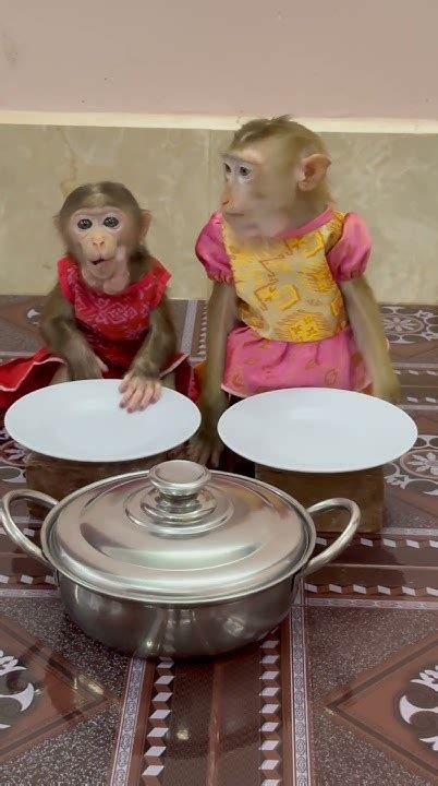 Very Mannerly Youtube