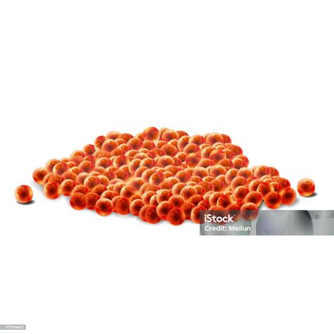 빨간 캐비어 물고기 알 식품 제품 3d 현실적인 장식 벡터 일러스트 0명에 대한 스톡 벡터 아트 및 기타 이미지 0명 3차원 형태 개체 그룹 Istock