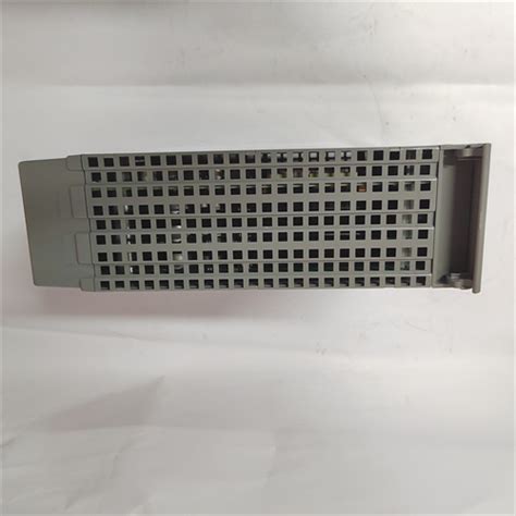 ICS TRIPLEX T8111C Module Runsheng Automation