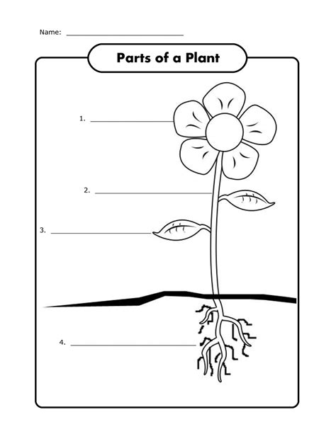 Free Science Worksheets Activity Shelter