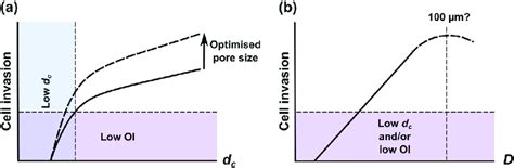 Illustration Of The Key Relationships Between Scaffold Structure And Download Scientific