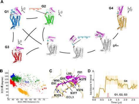 B Gpcr Scientific Reports X Mol
