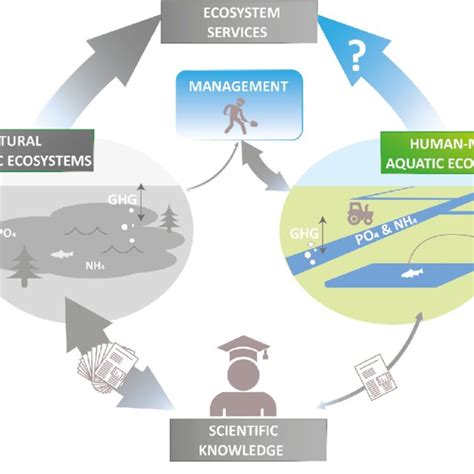 Scheme Visualising The Mismatch Between Significance And Scientific Download Scientific Diagram