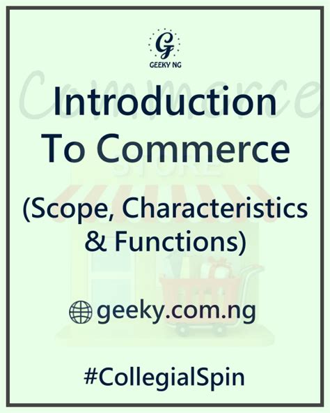 Introduction To Commerce Scope Characteristics And Functions Geeky