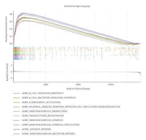Functional Analysis Of The Prognostic Signature In Tcga Coad Cluster