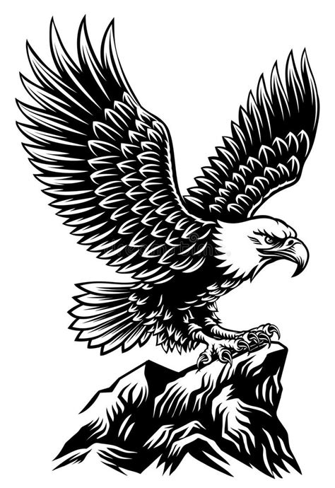 Eagle Flying Wing Stock Illustrations 33555 Eagle Flying Wing Stock