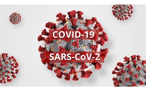 МОНГОЛ УЛСААС БҮГД НАЙРАМДАХ ПОЛЬШ УЛСАД СУУГАА ЭЛЧИН САЙДЫН ЯАМ