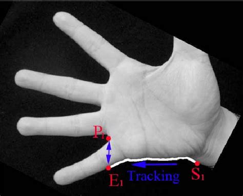 Figure 1 From Palmprint Recognition Across Different Devices Semantic