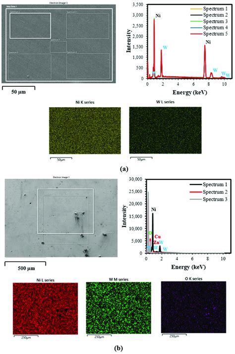 Sem Micrograph Eds Spectra And X Ray Mapping From The Surface Of Download Scientific Diagram
