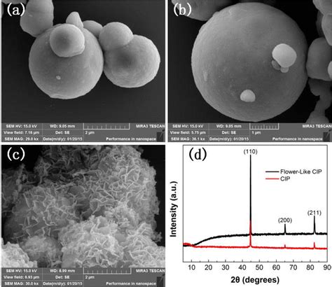 A And B The SEM Micrographs Of CIP In Different Magnifications C Download Scientific