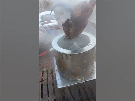 Зарубили петухов. Купить перосъемную машину было лучшим решением # ...