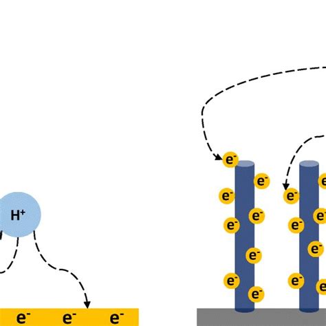Xrd Patterns Of Tio2 Nts And M Tio2 Nts A Anatase R Rutile Ti