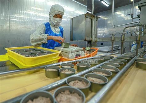 山东荣成海洋预制菜出口加工忙 人民图片网